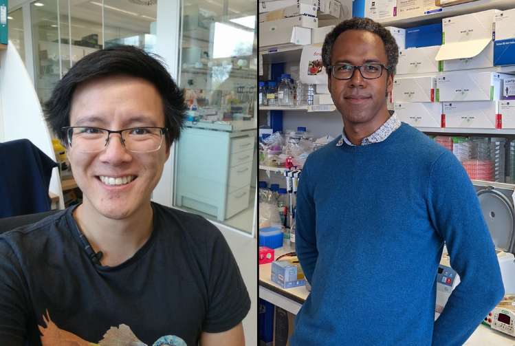 Wellcome Trust Career Development Fellows joining Biochemistry ...