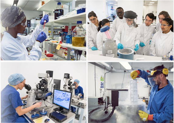 Research Excellence Framework 2021 Results | Biochemistry