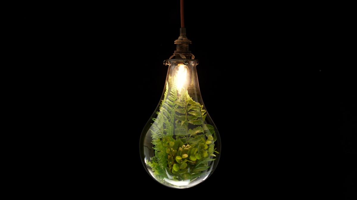 Scientists Discover Enzyme That Turns Air Into Electricity, Providing A ...