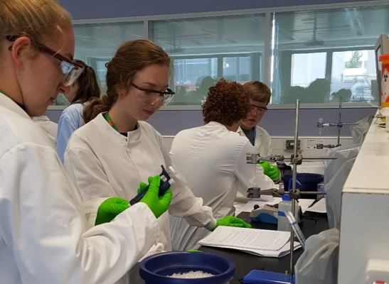 A taste of biochemistry for school students | Biochemistry