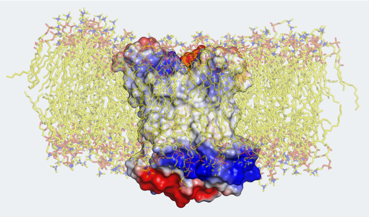 20-year old mystery of protein trafficking revealed in first crystal ...