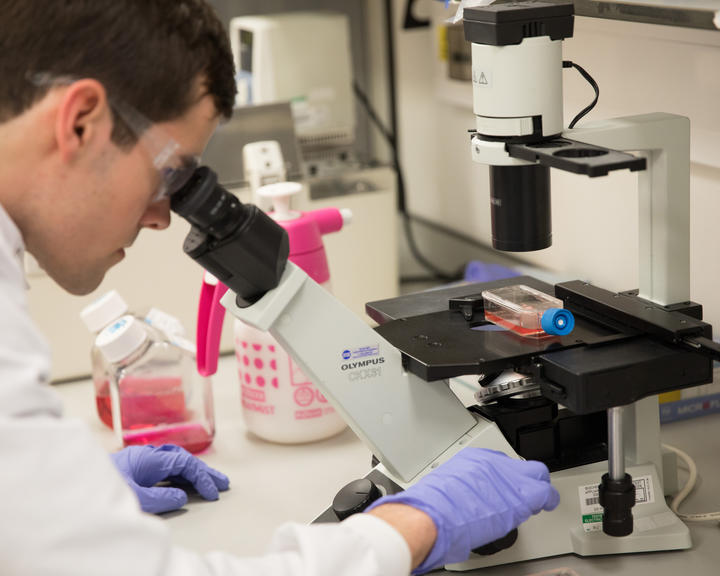 Our research | Biochemistry