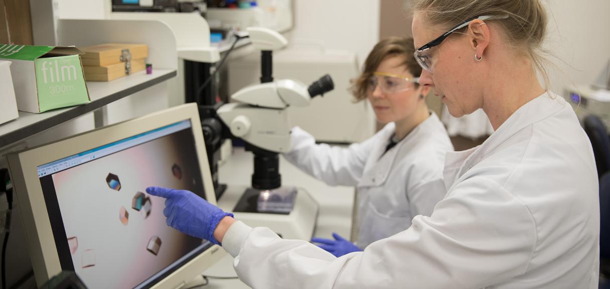 Teach & run a research group | Biochemistry