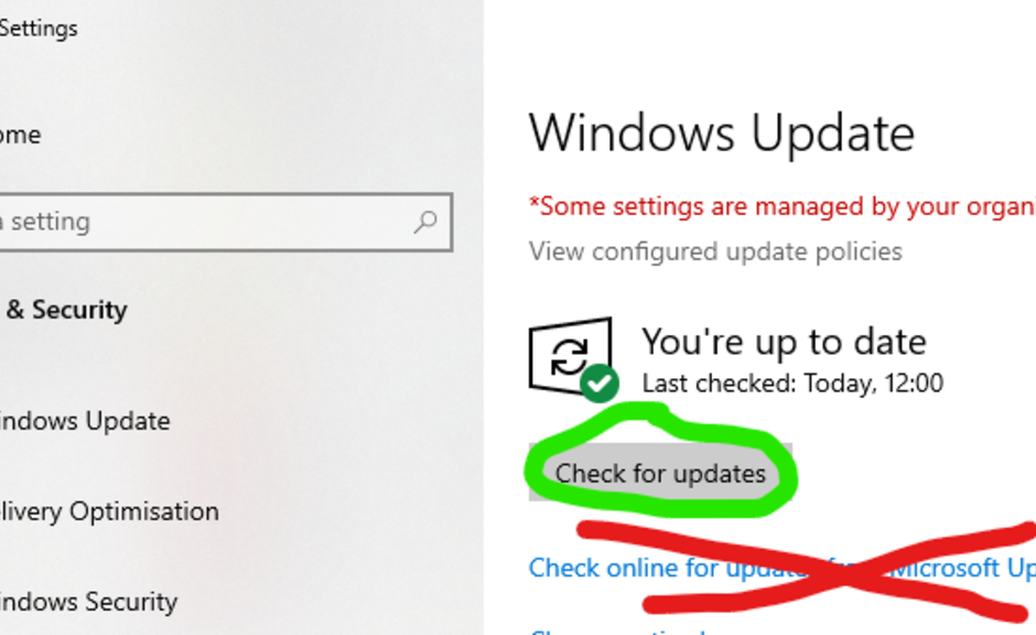 Patching | Biochemistry