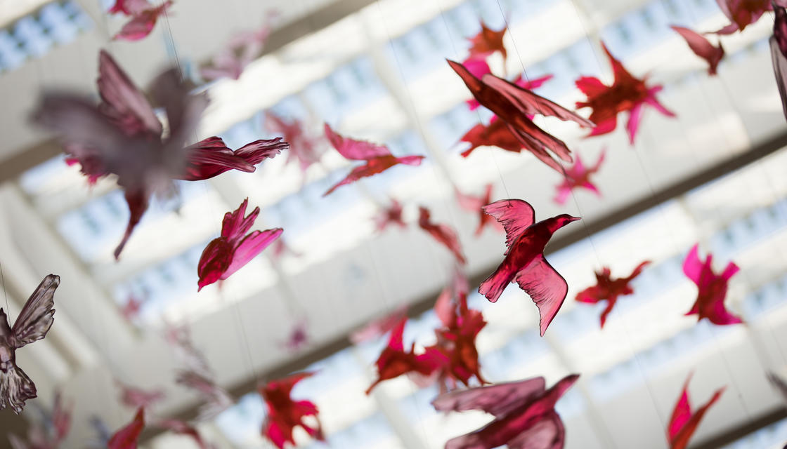 One Cell Two Genomes Coordination Between Mitochondria And The