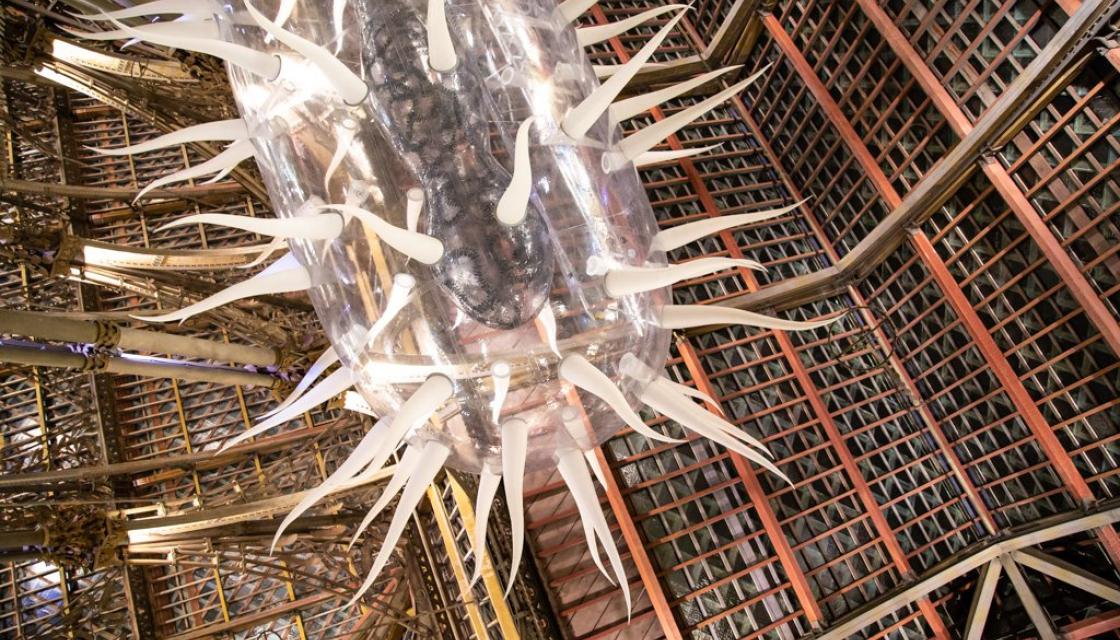 "The Bacterial World" at the Oxford Natural History Museum | Biochemistry