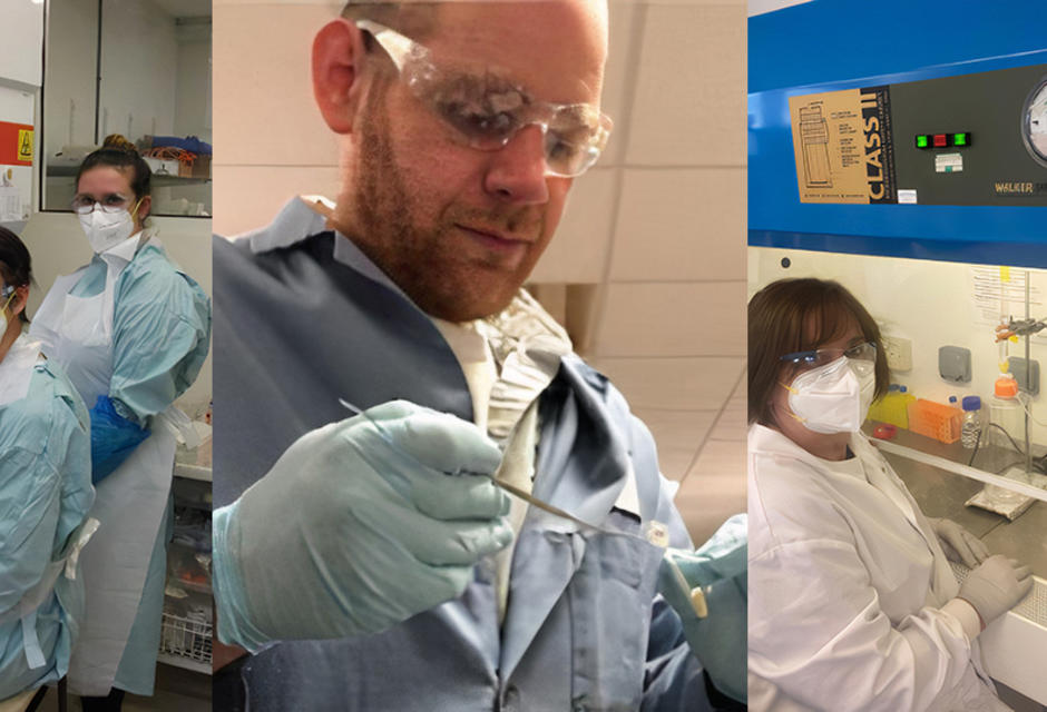 SARS-CoV-2 Spike protein glycosylation: a vaccine quality control ...