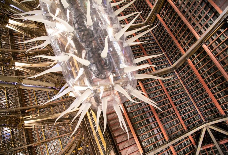 "The Bacterial World" at the Oxford Natural History Museum | Biochemistry