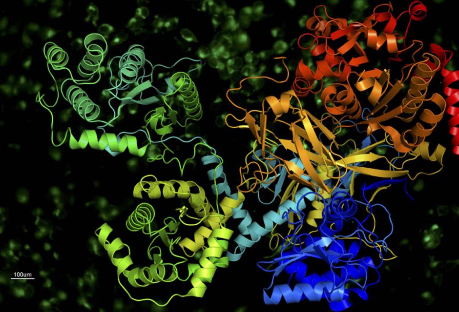 Research themes | Biochemistry