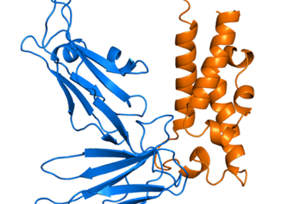Our research | Biochemistry